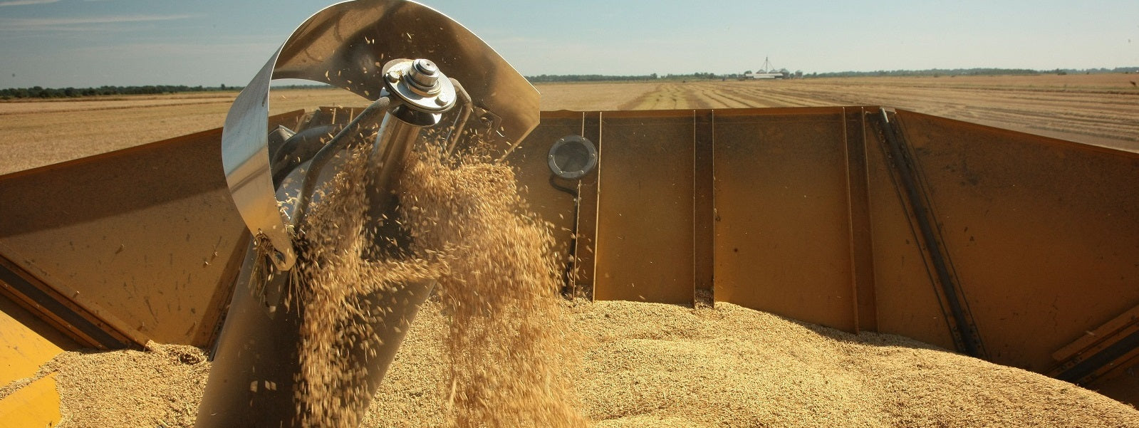 Two Brooks Rice Farm